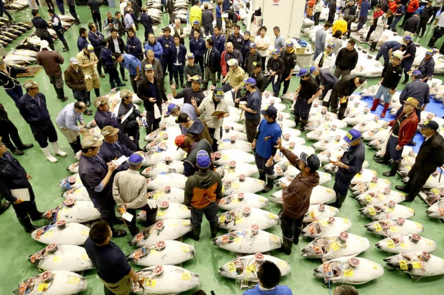 Tokyo's New Toyosu Fish Market - Is It Worth a Visit? - Cookly Magazine
